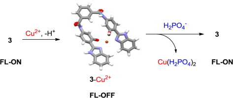 A benzimidazole-based fluorescent chemosensor for Cu2+ recognition and ...