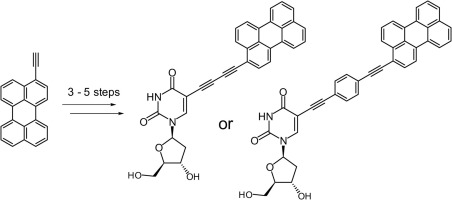 Fluorescent nucleosides with an elongated rigid linker: attaching perylene to a nucleobase via a ...