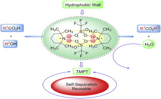 2,2,6,6-三甲基四氟甲基哌啶鎓（TMPT）：高度选择性和自分离的酯化催化剂,Tetrahedron Letters - X-MOL