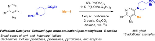 Palladium-catalyzed Catellani-type couplings using methylating reagents ...