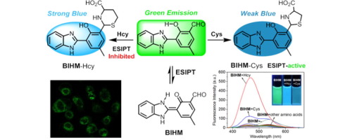 An ESIPT-based fluorescent probe for selective detection of homocysteine and its application in ...