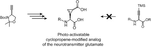A photocaged, cyclopropene-containing analog of the amino acid ...