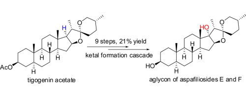 Synthesis of the aglycon of aspafiliosides E and F via a spiroketal ...
