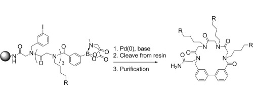 Synthesis of biaryl-linked cyclic peptoids,Tetrahedron Letters - X-MOL