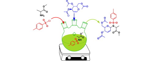 An eco-friendly tandem tosylation/Ferrier N-glycosylation of amines ...