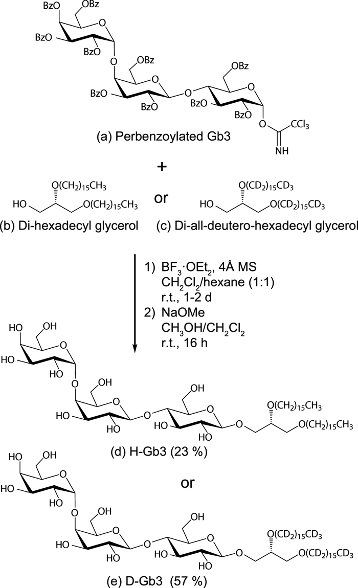 Influence of length and conformation of saccharide head groups on the ...