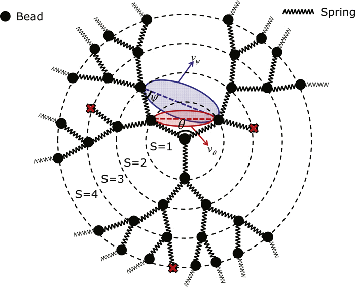 Effect of excluded volume on the rheology and transport dynamics of ...