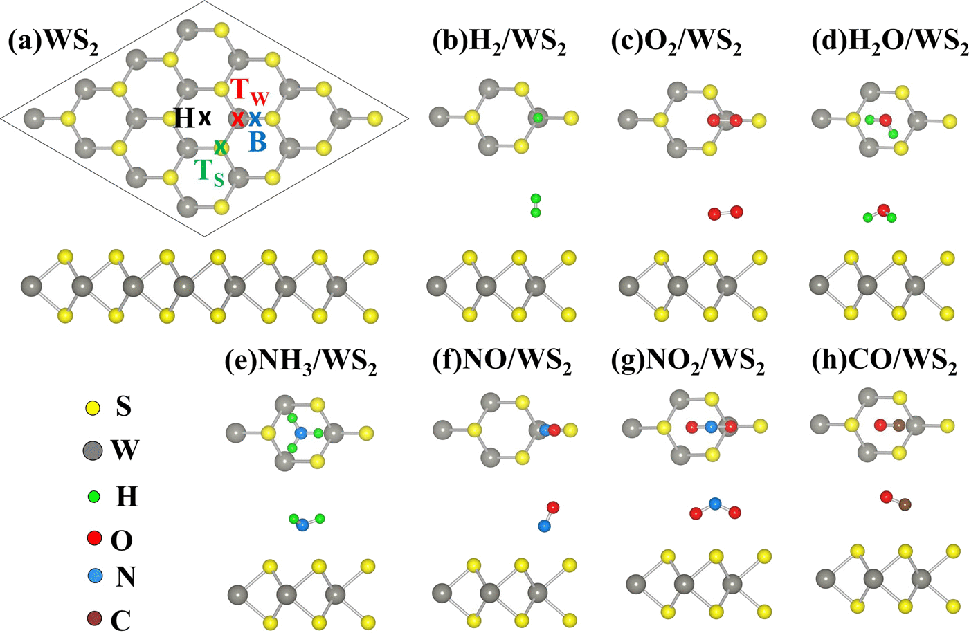 电荷转移机制及其对吸附在单层WS2上的气体分子的费米能级钉扎的影响,The Journal of Chemical Physics - X-MOL