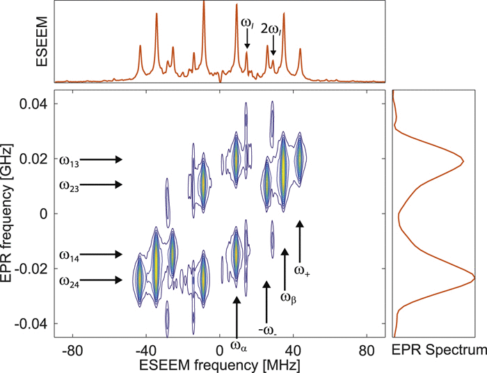 Copper ESEEM and HYSCORE through ultra-wideband chirp EPR spectroscopy ...