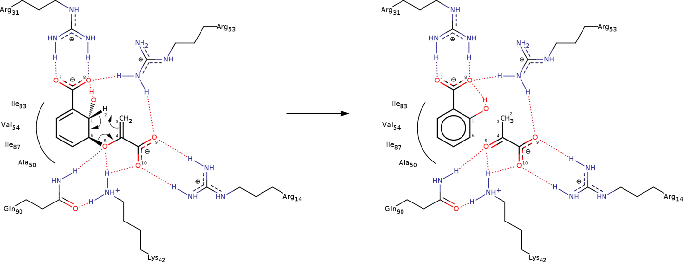 Transition State Ensemble Optimization For Reactions Of Arbitrary