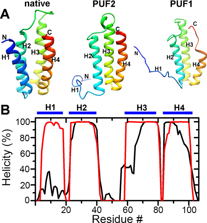 Network representation of conformational transitions between hidden ...