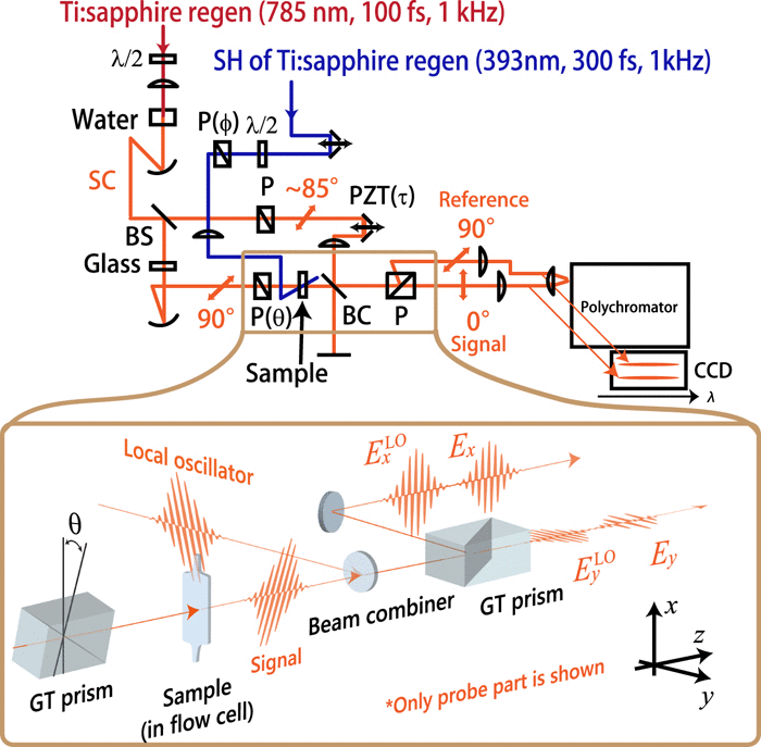 Communication: Broadband and ultrasensitive femtosecond time-resolved ...