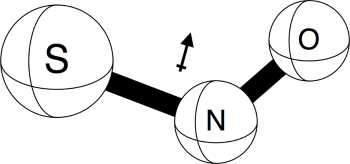 含硫阴离子SNO-和OSN-的能量学，结构和振动光谱性质,The Journal of Chemical Physics - X-MOL