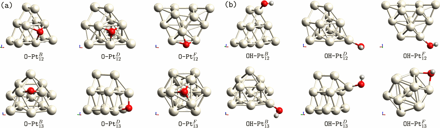 PtN（N = 12-13）团簇对氧还原反应的尺寸和结构效应：第一性原理计算,The Journal of Chemical Physics ...