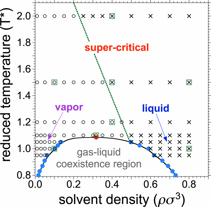 Conformation of a flexible polymer in explicit solvent: Accurate solvation potentials for ...