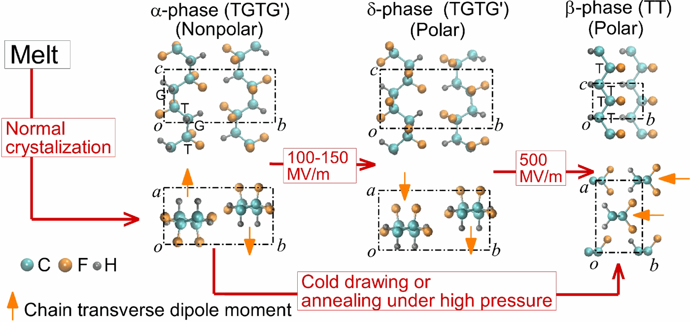 PVDF相关铁电聚合物中偶极矩翻转的能垒,The Journal of Chemical Physics - X-MOL