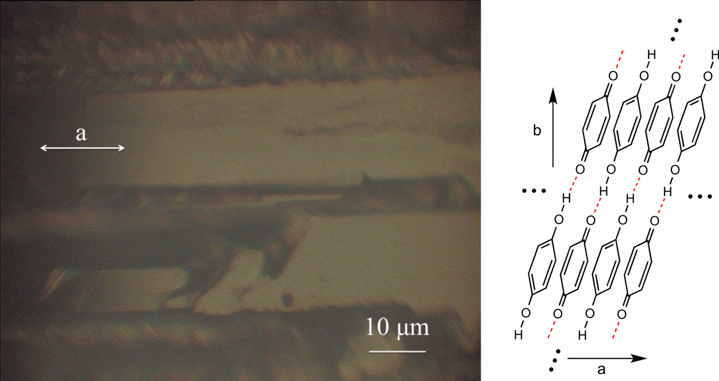 Intermolecular electron transfer from intramolecular excitation and ...