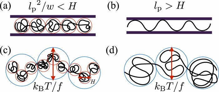 Effect of excluded volume on the force-extension of wormlike chains in ...