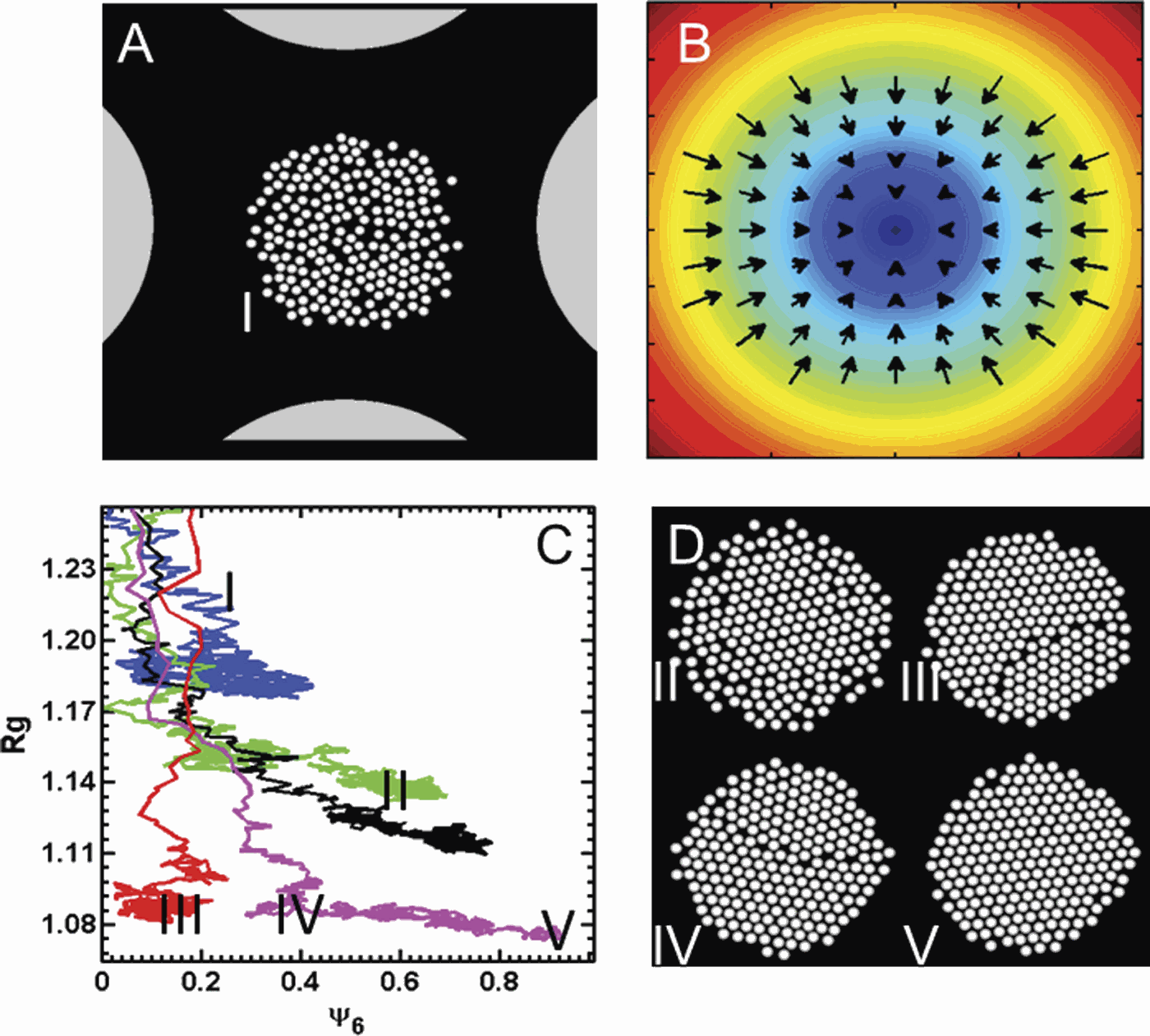 Dynamic colloidal assembly pathways via low dimensional models,The ...