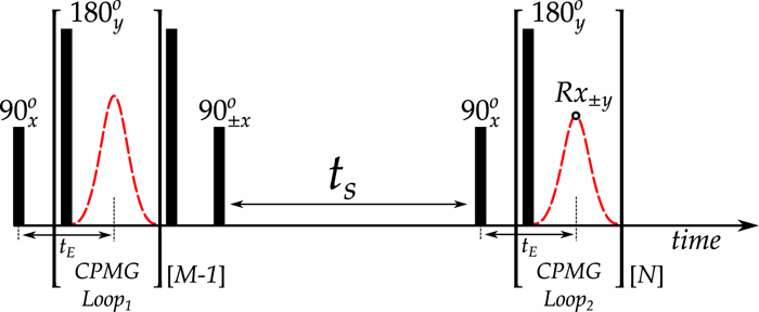 T2过滤的T2-T2交换NMR,The Journal of Chemical Physics - X-MOL