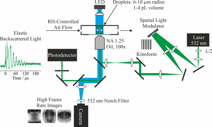 全息光镊中机载微滴液滴聚结的动态测量和模拟,The Journal of Chemical Physics - X-MOL