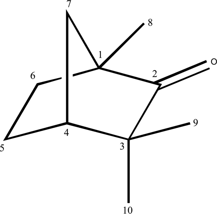 Structure of fenchone by broadband rotational spectroscopy,The Journal ...