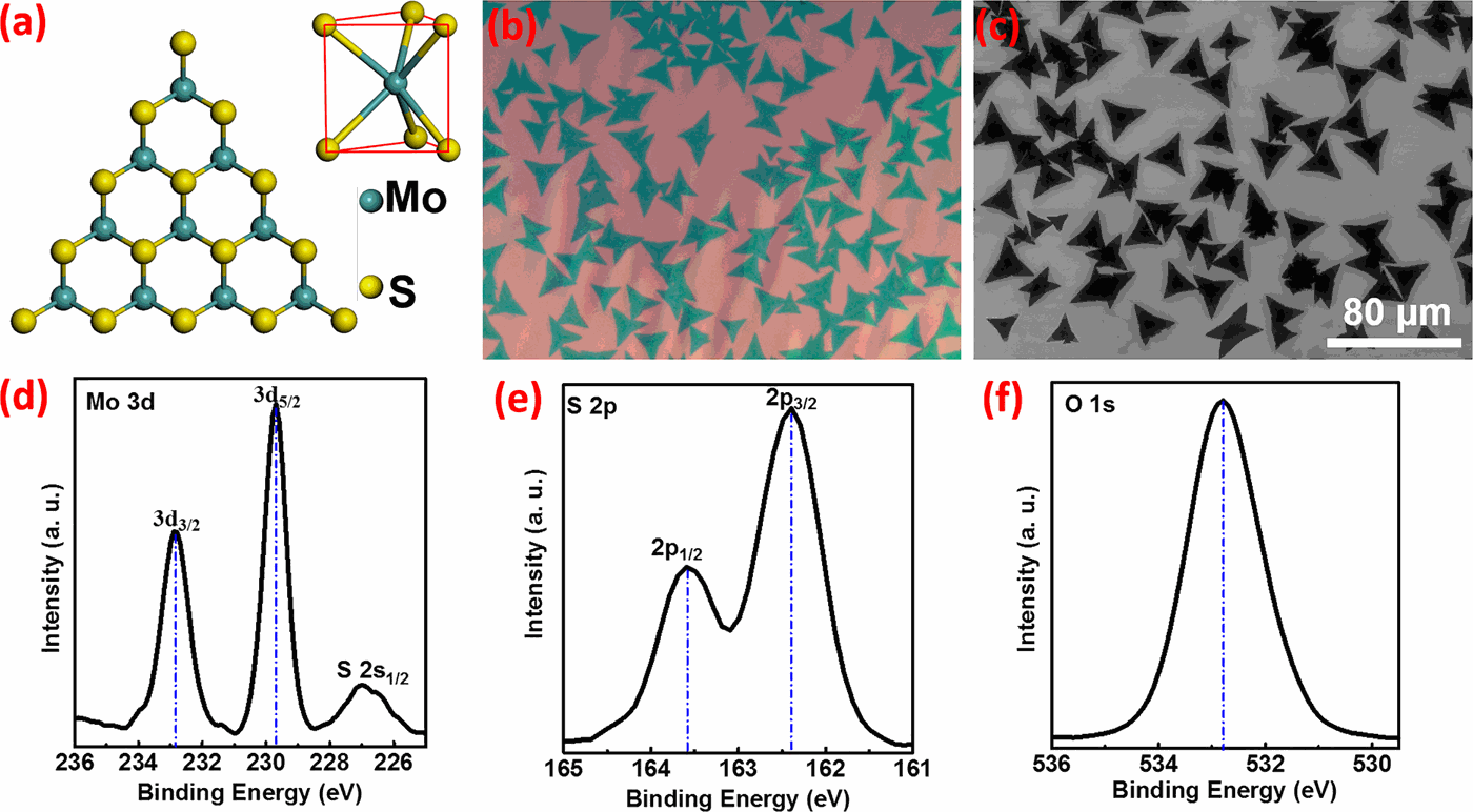 Unravelling merging behaviors and electrostatic properties of CVD-grown ...