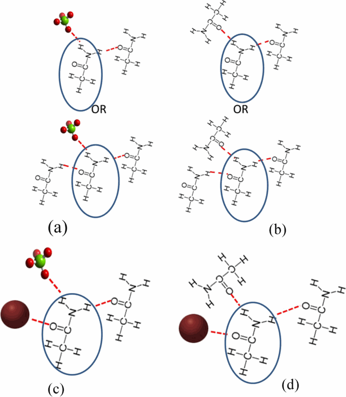 Collective dynamic dipole moment and orientation fluctuations, cooperative hydrogen bond ...