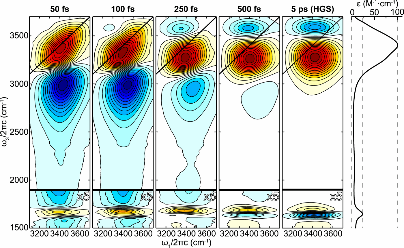 Anharmonic exciton dynamics and energy dissipation in liquid water from ...