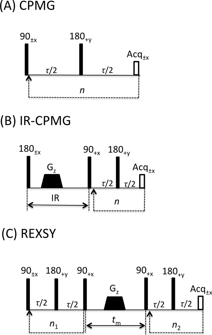 Fast, accurate 2D-MR relaxation exchange spectroscopy (REXSY): Beyond ...