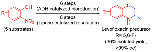 Chemoenzymatic Asymmetric Synthesis of 1,4-Benzoxazine Derivatives ...