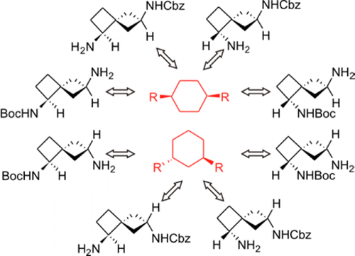 Synthesis and Structural Analysis of Angular Monoprotected Diamines ...