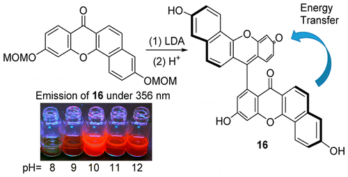 Fluorescent Dyes with Directly Connected Xanthone and Xanthene Units ...