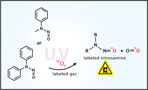 Mechanism of Photochemical O-Atom Exchange in Nitrosamines with ...