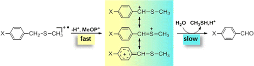 Photoinduced One-Electron Oxidation of Benzyl Methyl Sulfides in ...