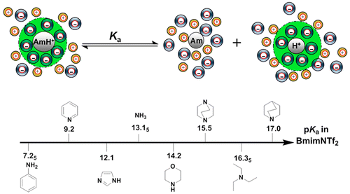 Is Amine a Stronger Base in Ionic Liquid Than in Common Molecular ...