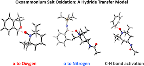 Toward a Unified Mechanism for Oxoammonium Salt-Mediated Oxidation ...