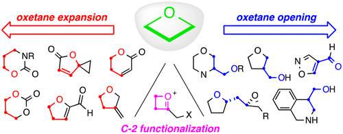 Recent Applications of Oxetanes in the Synthesis of Heterocyclic ...