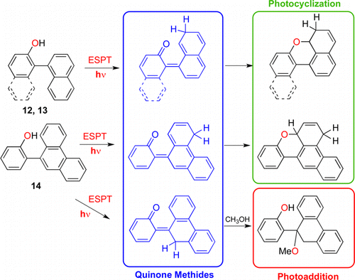 Photocyclization and Photoaddition Reactions of Arylphenols via ...