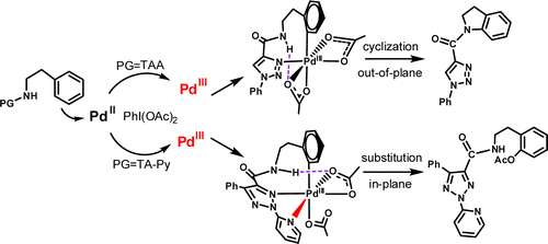 Computational Studies on Pd-Catalyzed Functionalization of Csp2–H Bonds ...