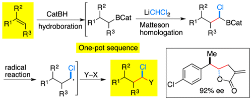 Homologation Strategy for the Generation of 1-Chloroalkyl Radicals from ...