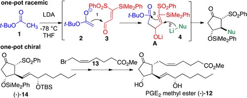 Multicomponent Strategy for the Synthesis of Prostaglandin E2 Methyl ...