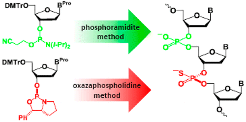Stereocontrolled Solid-Phase Synthesis of Phosphate/Phosphorothioate ...