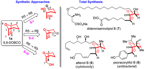 Synthetic Approaches To Construct the 6,8-DOBCO Framework in Natural ...