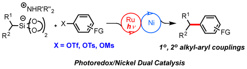 Phenol Derivatives as Coupling Partners with Alkylsilicates in ...