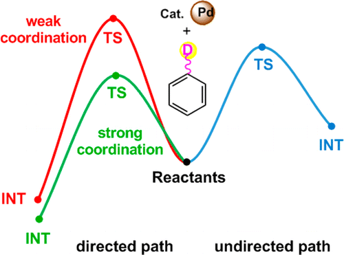 An Explicit Interpretation of the Directing Group Effect for the Pd(OAc ...