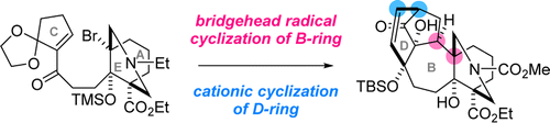 Construction of the Fused Pentacycle of Talatisamine via a Combination ...