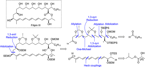 Synthesis of the Acyclic Carbon Skeleton of Filipin III,The Journal of ...