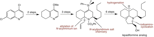 Studies toward the Synthesis of Lepadiformine A,The Journal of Organic ...