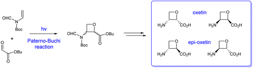 合成获得的所有4种氧黄素立体异构体,The Journal of Organic Chemistry - X-MOL